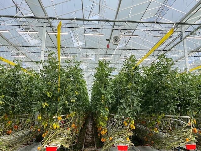 Services – JV Energy Solutions